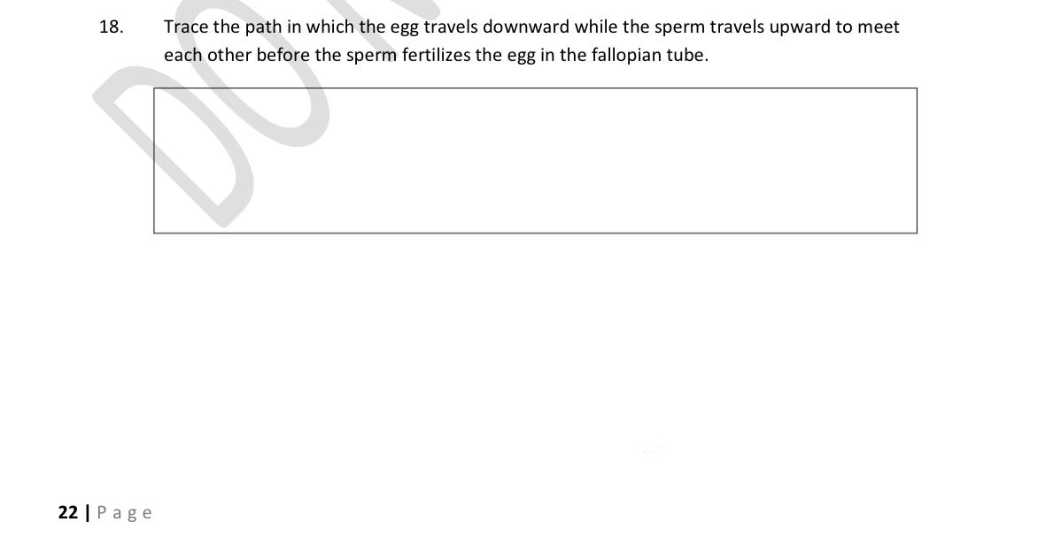 Solved 18. Trace the path in which the egg travels downward | Chegg.com