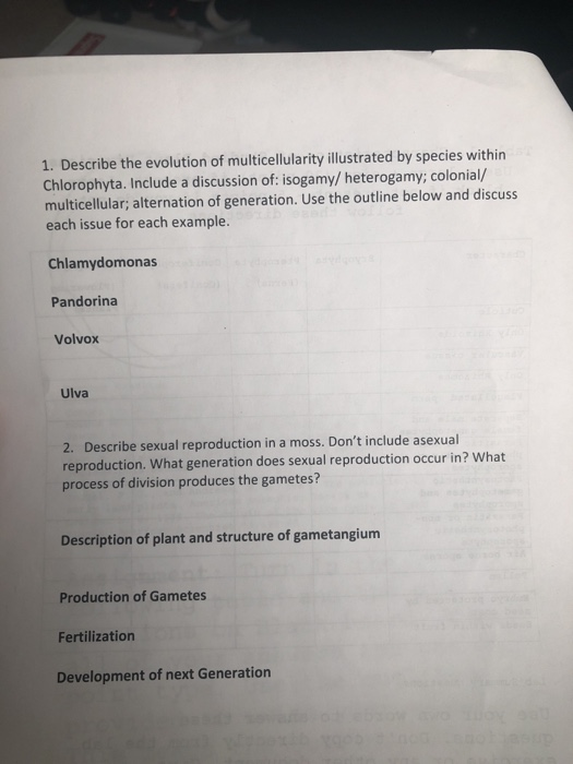 Solved 1. Describe the evolution of multicellularity | Chegg.com