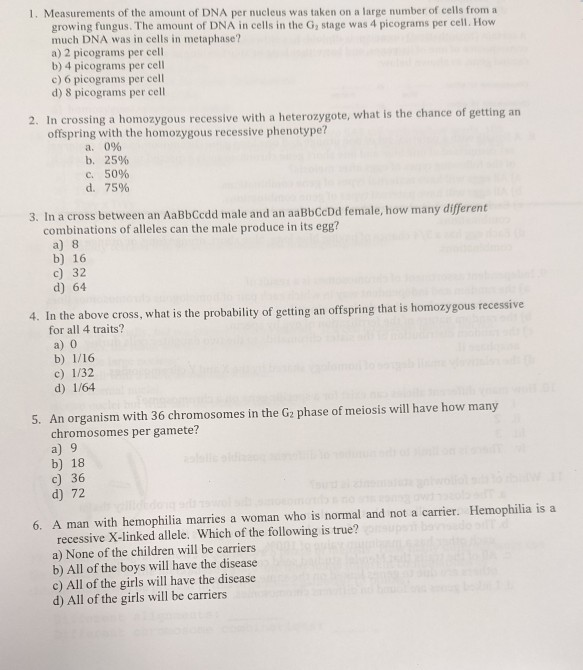 Solved 1 Measurements Of The Amount Of DNA Per Nucleus Was Chegg
