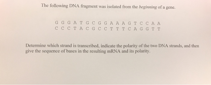 Solved The following DNA fragment was isolated from the | Chegg.com