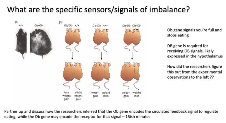 Solved What are the specific sensors/signals of imbalance? | Chegg.com