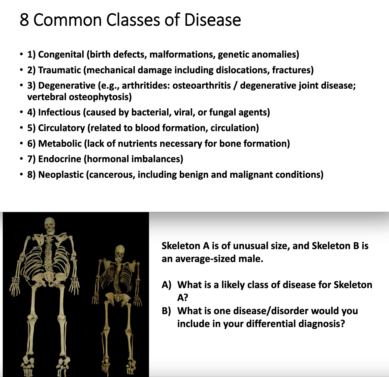 Solved Skeleton A is of unusual size, and Skeleton B isan | Chegg.com
