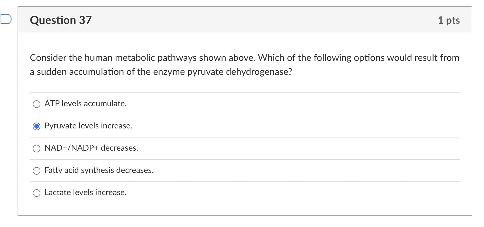 Solved [Q34-37] Consider the human metabolic pathways shown | Chegg.com