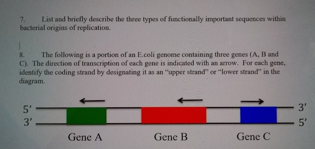 Solved 7. List and briefly describe the three types of | Chegg.com