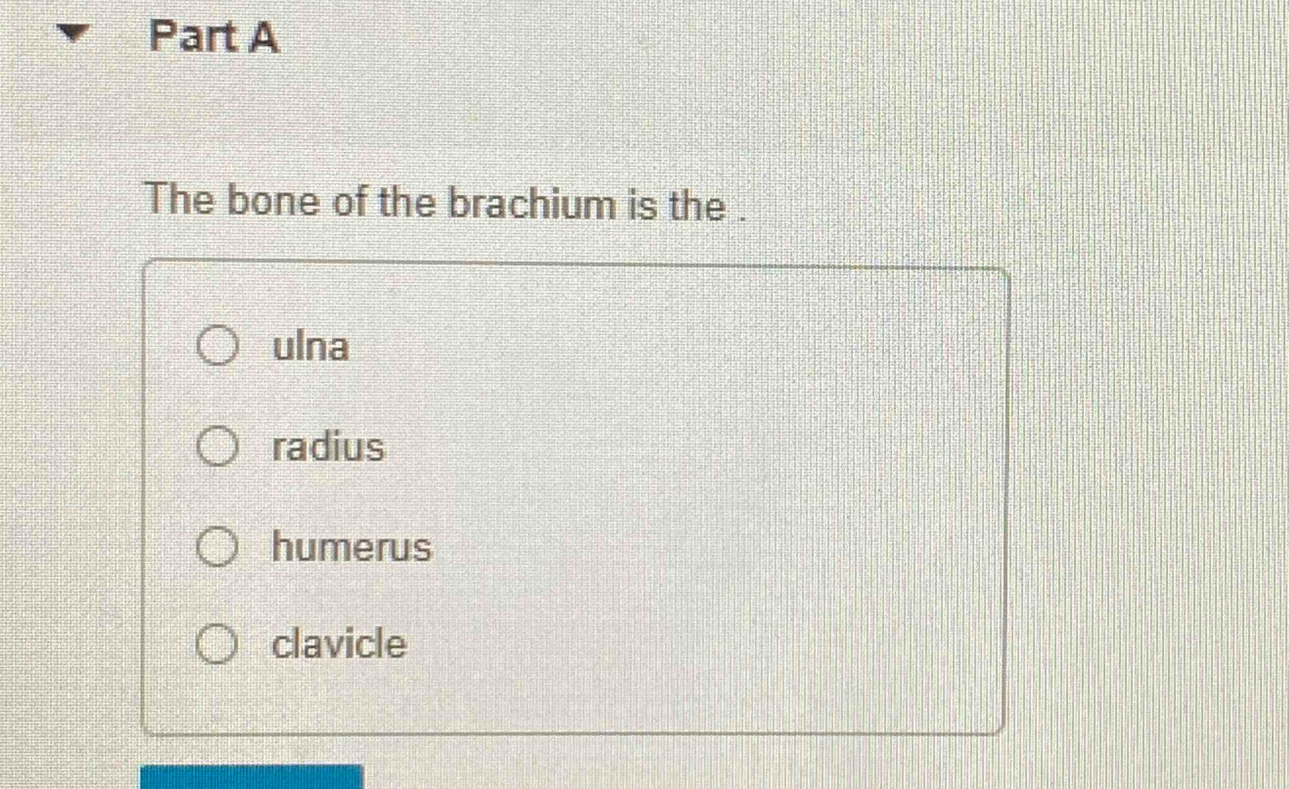 Solved Part AThe bone of the brachium is the | Chegg.com