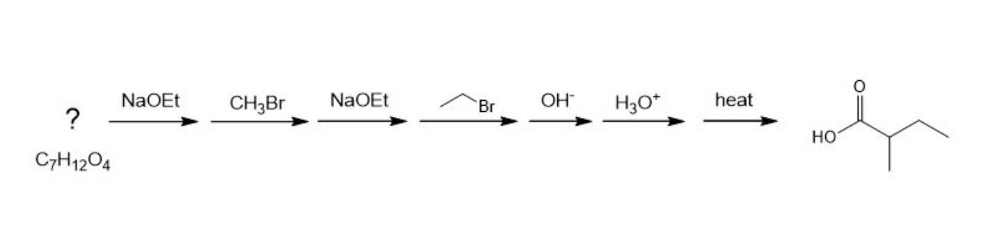 Solved OH NaOEt heat NaOEt H30* CH3Br Br ? HO C7H1204 | Chegg.com