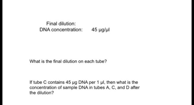 Solved Final dilution DNA concentration: 45 μg/μ! What is | Chegg.com