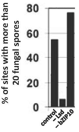 Solved In this assessment you will investigate the | Chegg.com