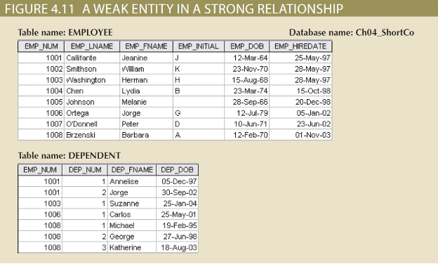 Solved Problem 1. Given the following Data dictionary for | Chegg.com