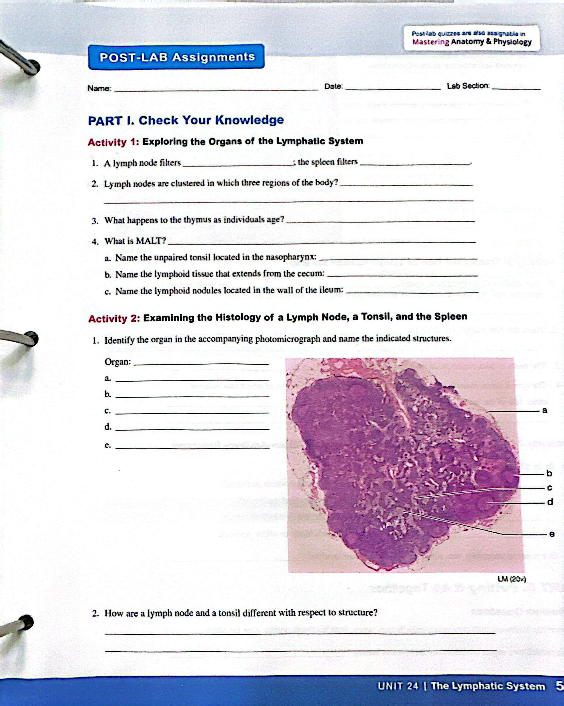 PART I. Check Your KnowledgeActivity 1: Exploring the | Chegg.com