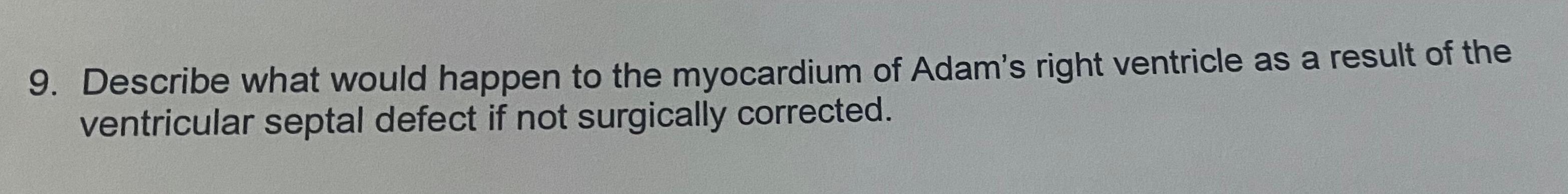Solved A Case of the Heart: A Study on Cardiac Anatomy, | Chegg.com