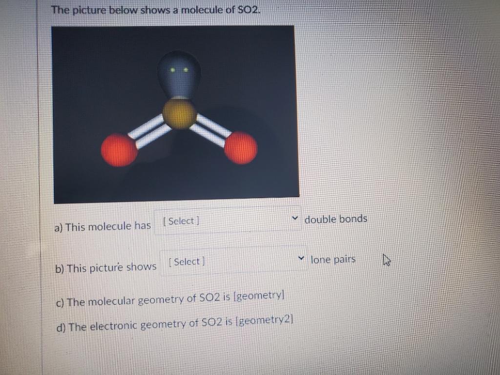 Solved The picture below shows a molecule of SO2. = | | Chegg.com