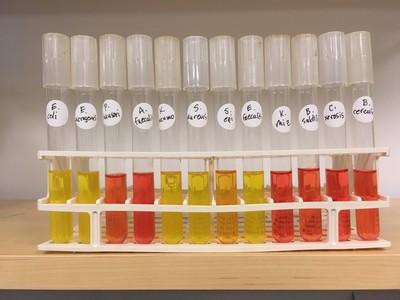 Please fill out what you can on the table with the | Chegg.com