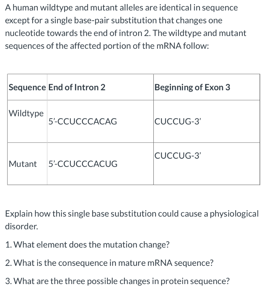 Solved A human wildtype and mutant alleles are identical in | Chegg.com