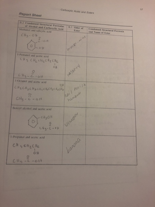 Solved 57 Carboxylic Acids and Esters Report Sheet B.2 | Chegg.com