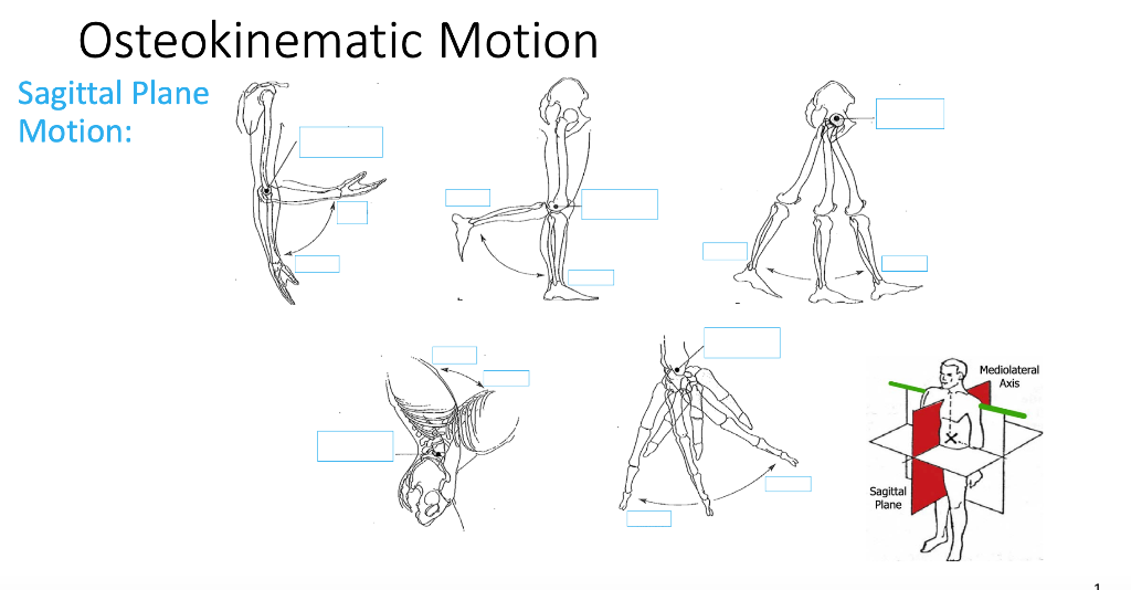 Solved Osteokinematic Motion Sagittal Plane Motion: FIA | Chegg.com Solved Osteokinematic Motion Sagittal Plane Motion: FIA | Chegg.com