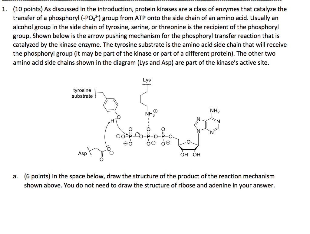Solved I am not really sure how to draw this reaction out. | Chegg.com