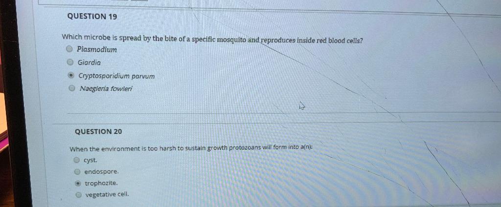 Solved QUESTION 22 An acellular entity composed of a small | Chegg.com