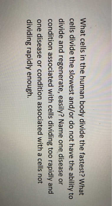 Solved What cells in the human body divide the fastest? What | Chegg.com