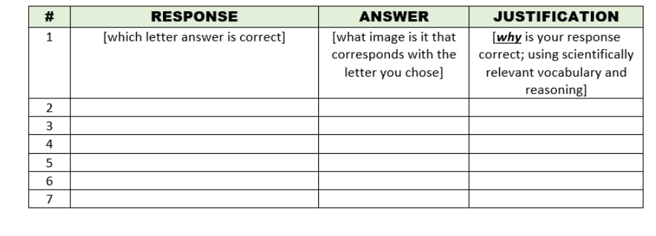 Solved Build a Molecule activity 1. Which picture best | Chegg.com