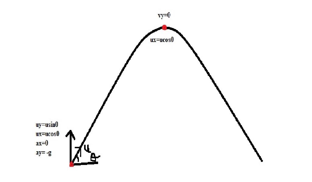Solved Vertical position Time Vertical Velocity Horizontal | Chegg.com