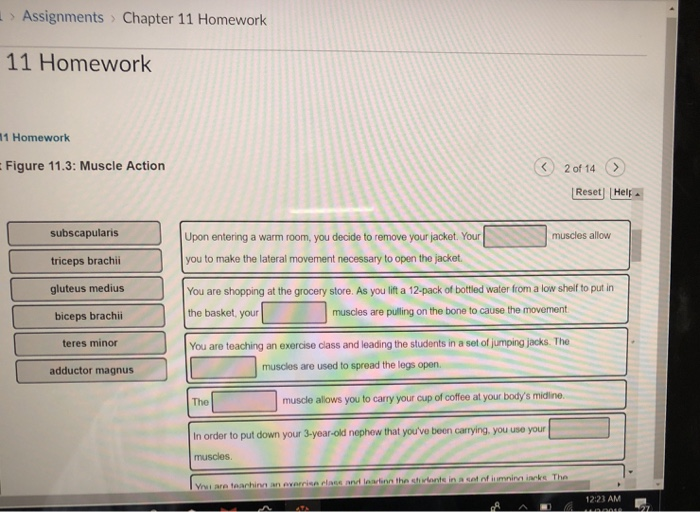 Assignments Chapter 11 Homework 11 Homework 1 | Chegg.com