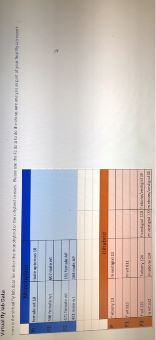Solved Virtual fly lab Data Here is the virtual fly lab data | Chegg.com