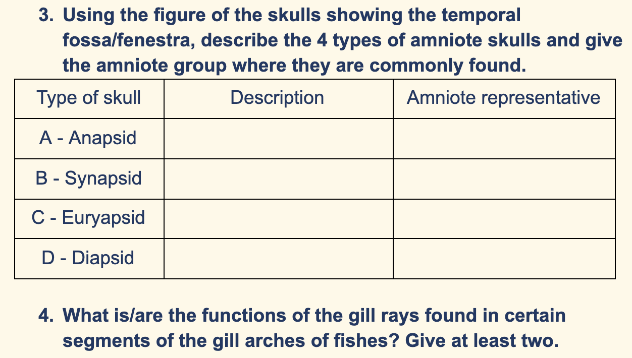 Solved 3. Using the figure of the skulls showing the | Chegg.com