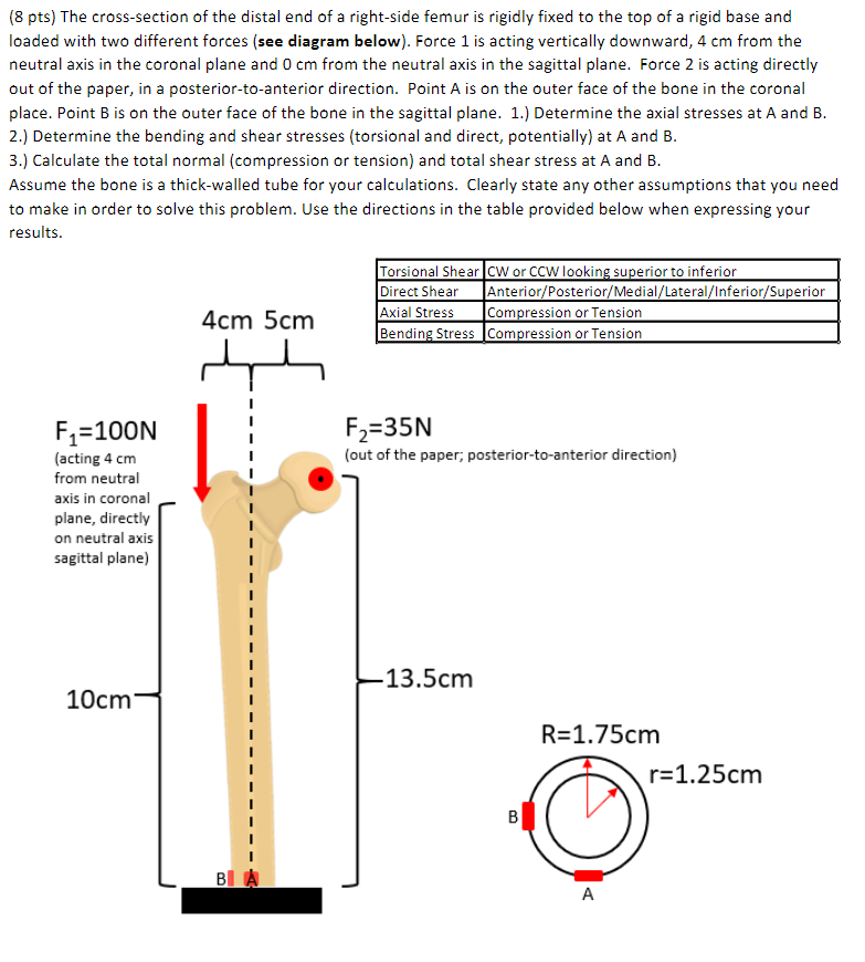 Solved (8 pts) The cross-section of the distal end of a | Chegg.com