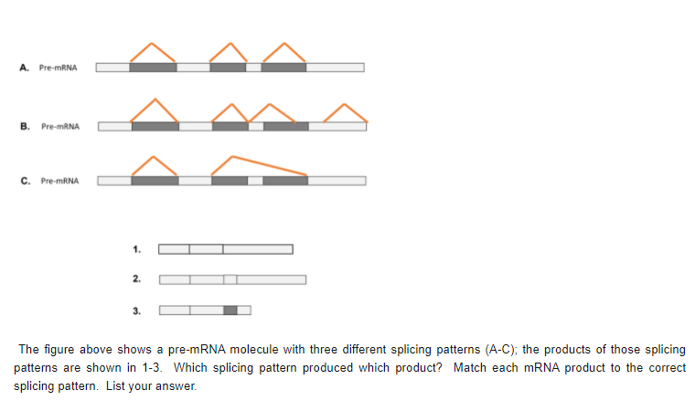 Solved A. Pre-mRNA B. Pre-mRNA C. Pre-mRNA 1. 2. The figure | Chegg.com