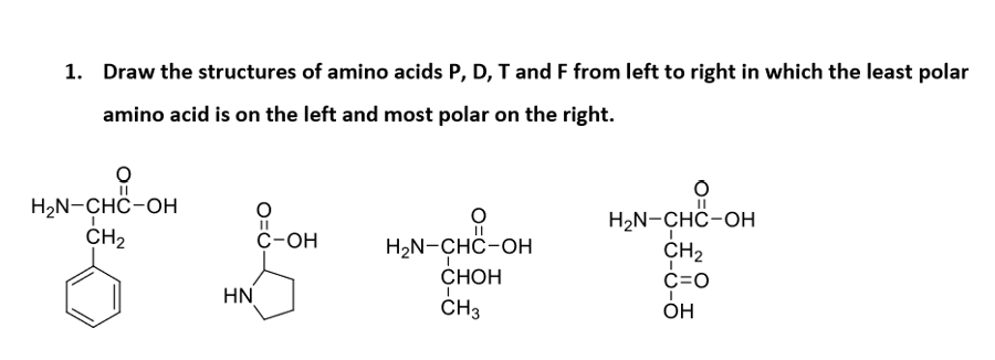 Solved These are 4 of the amino acids (proline, aspartate, | Chegg.com