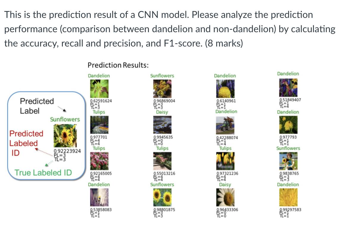Solved This is the prediction result of a CNN model. Please | Chegg.com
