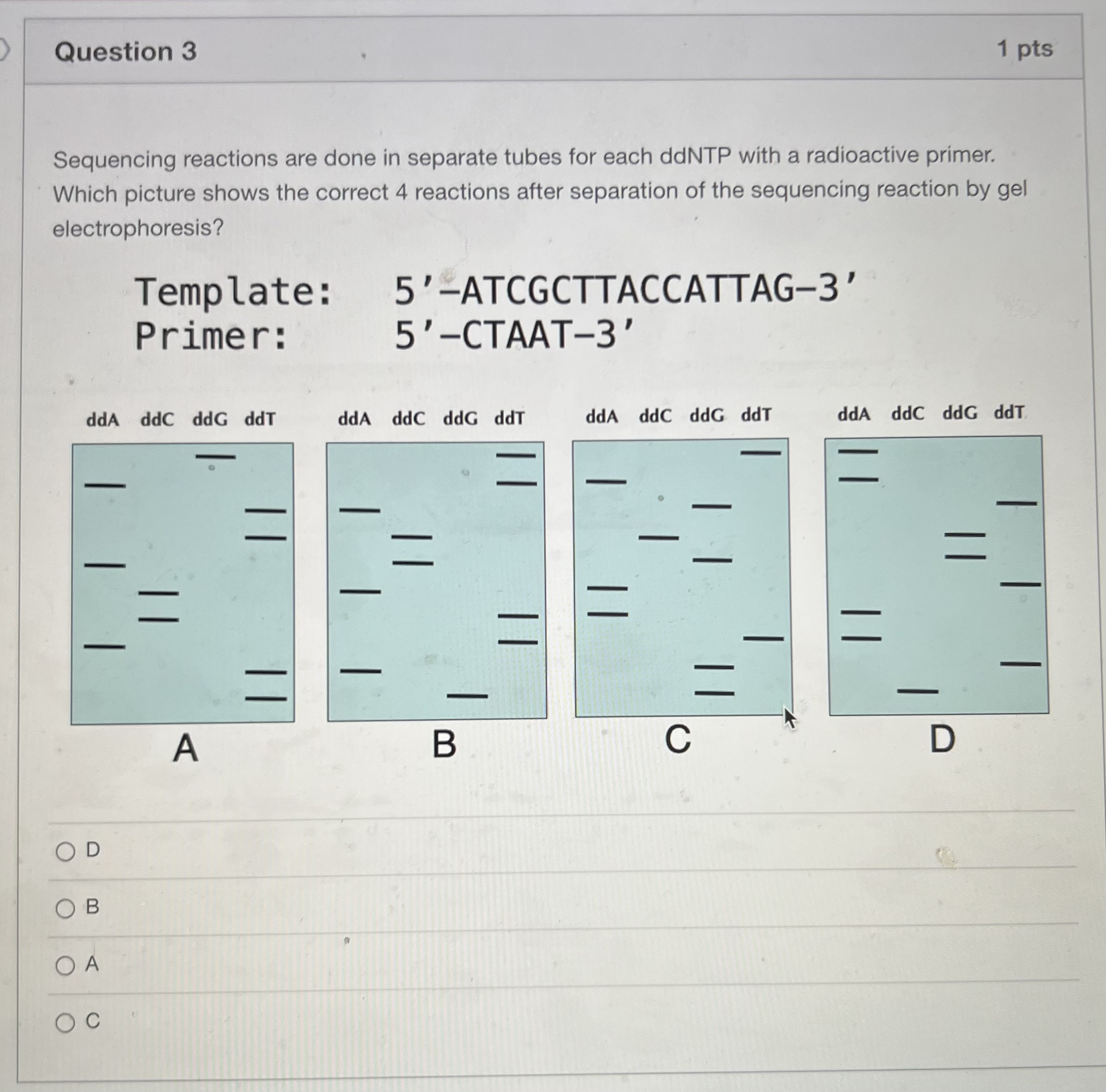 Solved on the powerpoint we were given, it shows the gels | Chegg.com