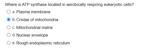 Solved Where is ATP synthase located in aerobically | Chegg.com
