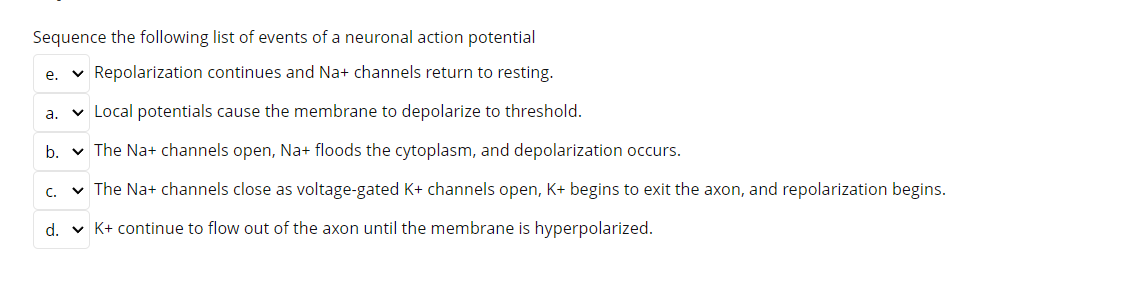 Solved Sequence the following list of events of a neuronal | Chegg.com