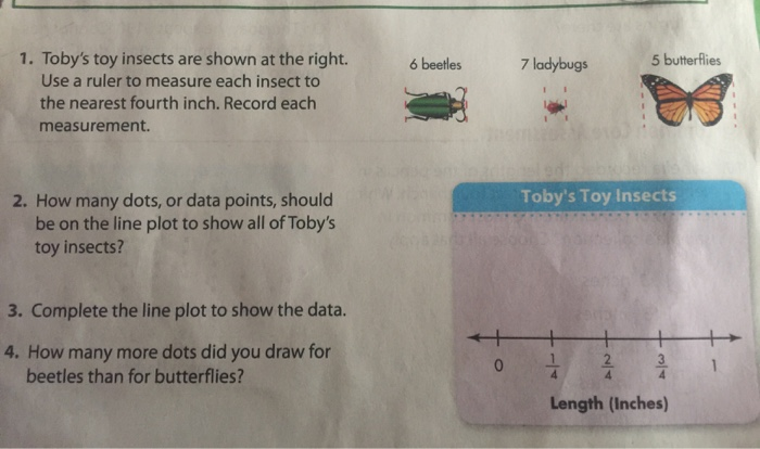 1. Toby's toy insects are shown at the right. 6 | Chegg.com