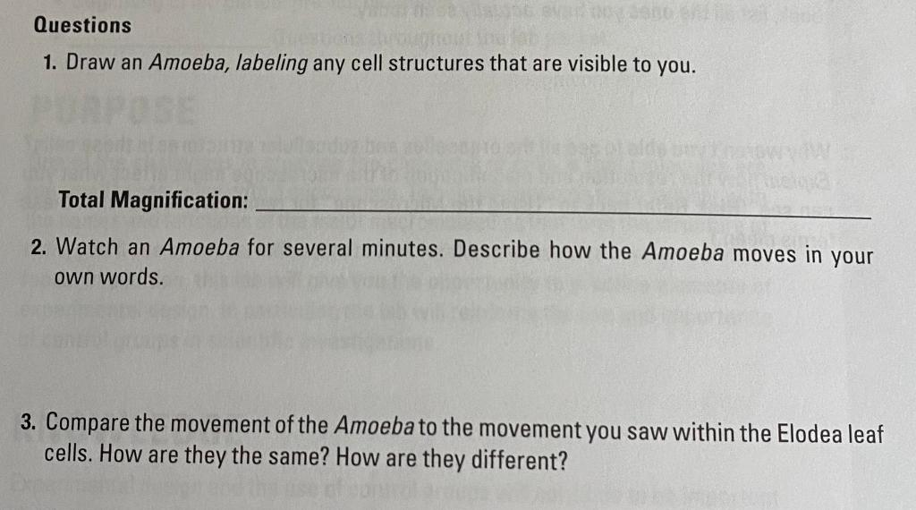 Solved 1. Draw an Amoeba, labeling any cell structures that | Chegg.com