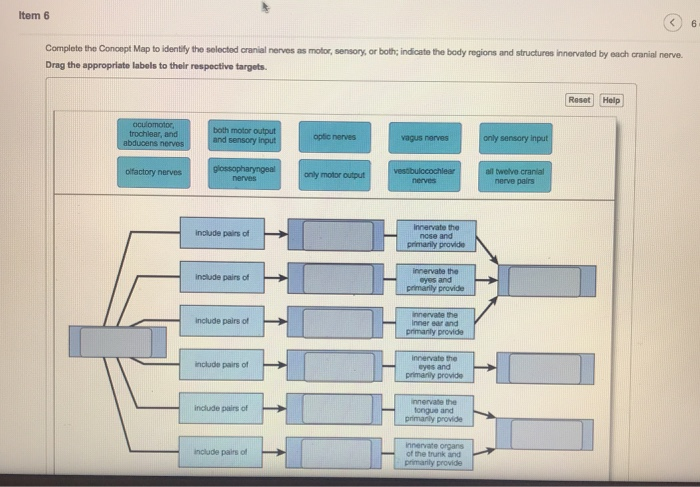 Solved Item 6 Complete the Concept Map to identify the | Chegg.com Solved Item 6 Complete the Concept Map to identify the | Chegg.com