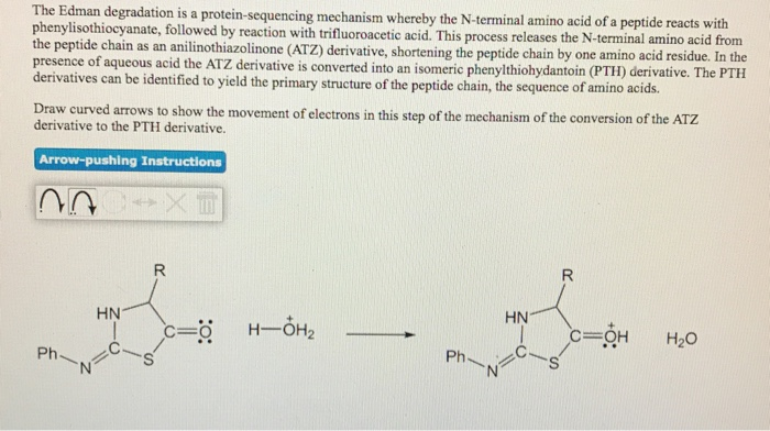 Solved is a protein-sequencing mechanism whereby the | Chegg.com