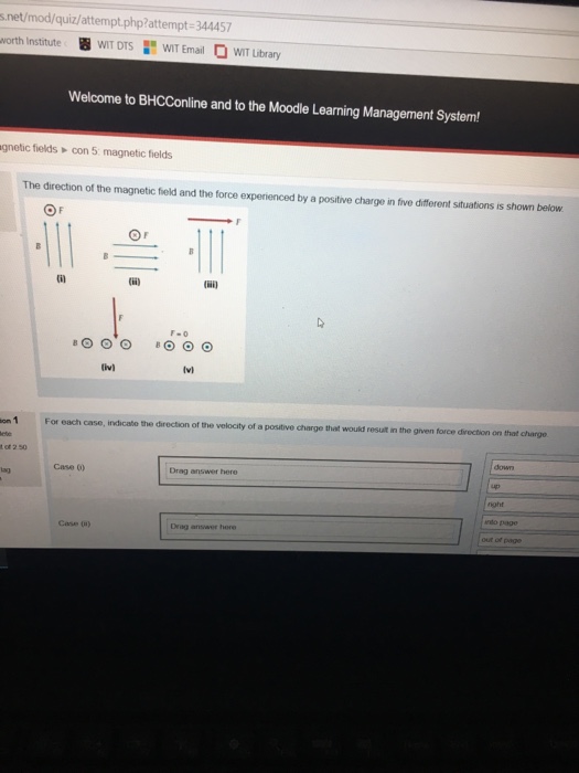 Solved s.net/mod/quiz/attempt.php?attempt-344457 worth | Chegg.com