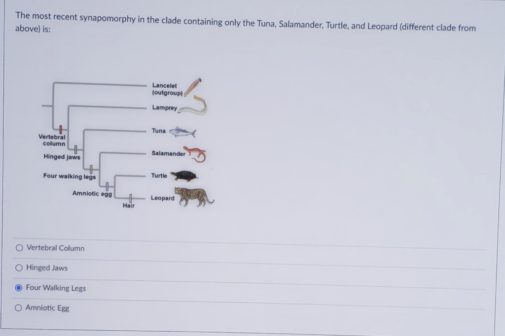 Solved PLEASE TYPE THE ANSWERS DO NOT HANDWRITE I CANT | Chegg.com