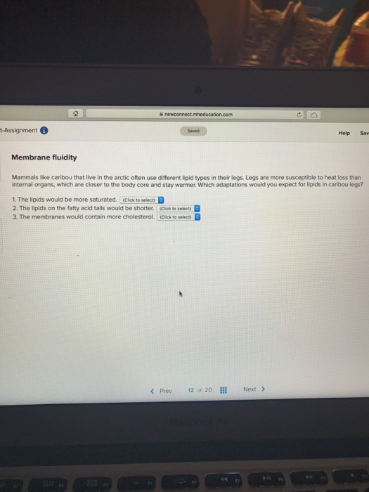 Solved a newconnect p. 5 Post-Assignment Help 17 Movement of | Chegg.com