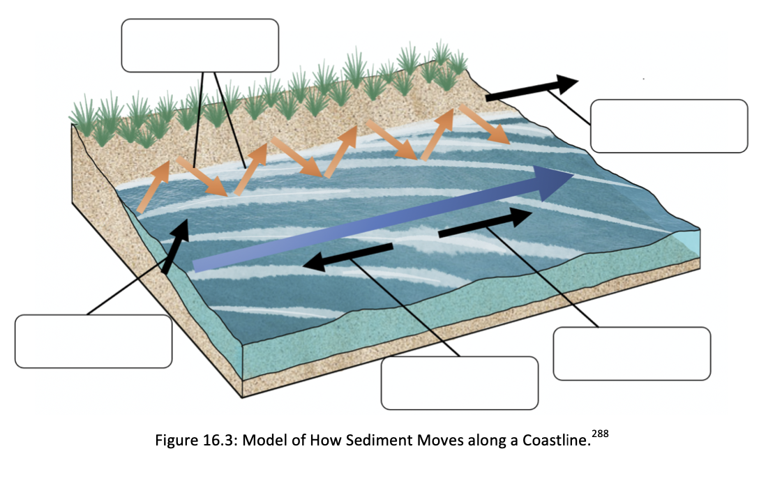 Solved 1. Label Figure 16.3 (shown below) with the | Chegg.com