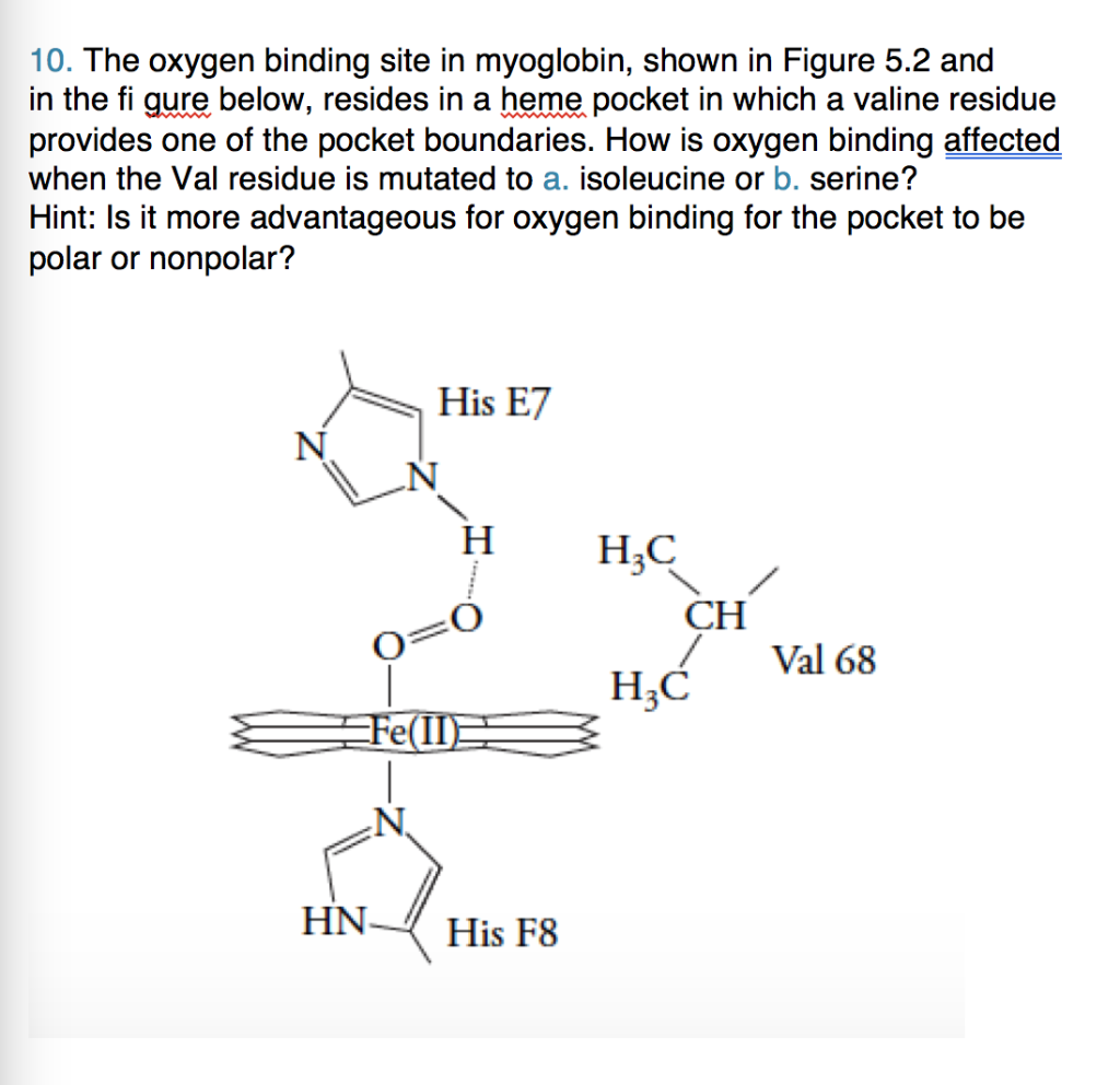 Solved 10. The oxygen binding site in myoglobin, shown in | Chegg.com