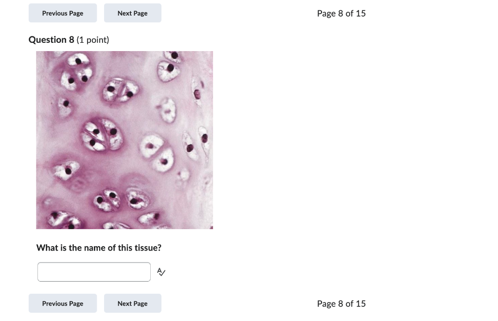 Solved Question 8 (1 point) What is the name of this | Chegg.com Solved Question 8 (1 point) What is the name of this | Chegg.com