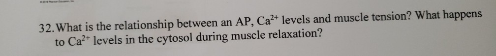 Solved AP, Ca2t levels and muscle tension? What happens | Chegg.com