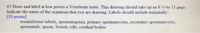 Solved #3 Draw and label at low power a Vertebrate testis. | Chegg.com