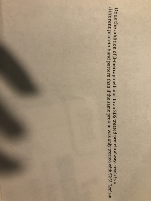 Solved Does The Addition Of β Mercaptoethanol To An Sds