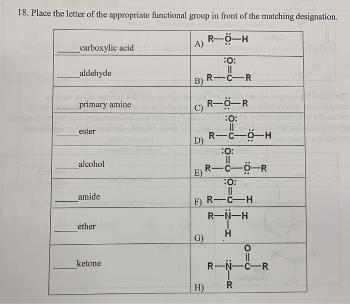 Solved 18. Place the letter of the appropriate functional | Chegg.com