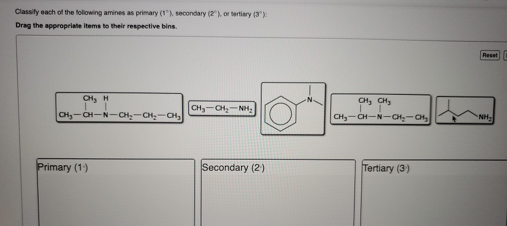 Solved Classify each of the following amines as primary | Chegg.com